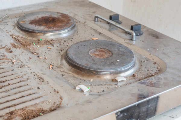 Can Hot Plates Be Replaced | Let's find out today